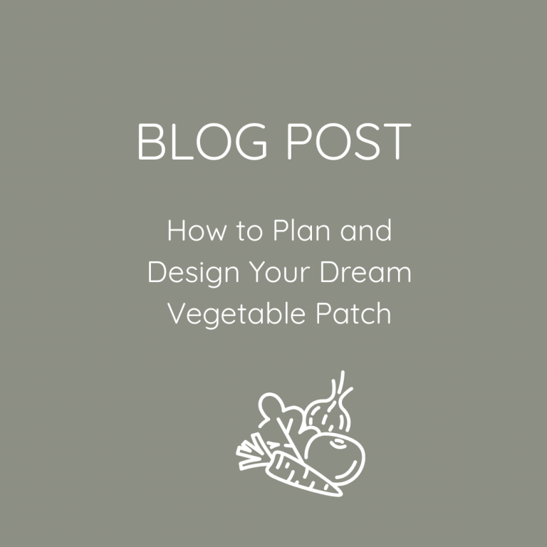How to Plan and Design Your Dream Vegetable Patch