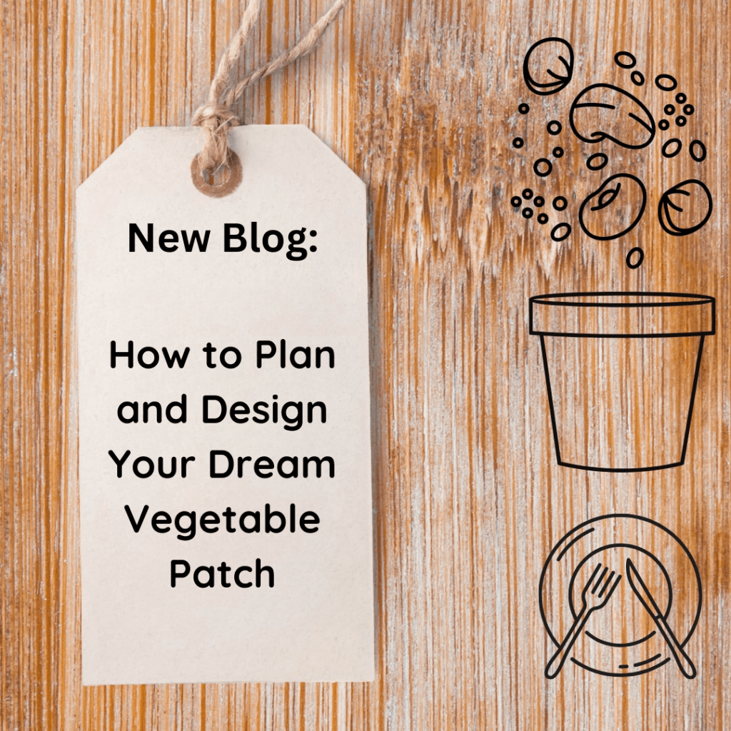 How to Plan and Design Your Dream Vegetable Patch